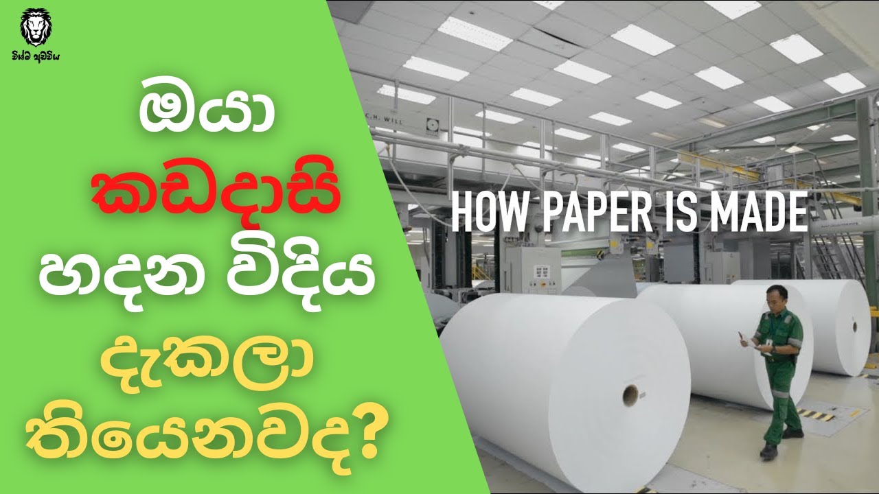 ඔයා කඩදාසි හදන විදිය දැකලා තියෙනවද? This Is How Paper Is Made in ...