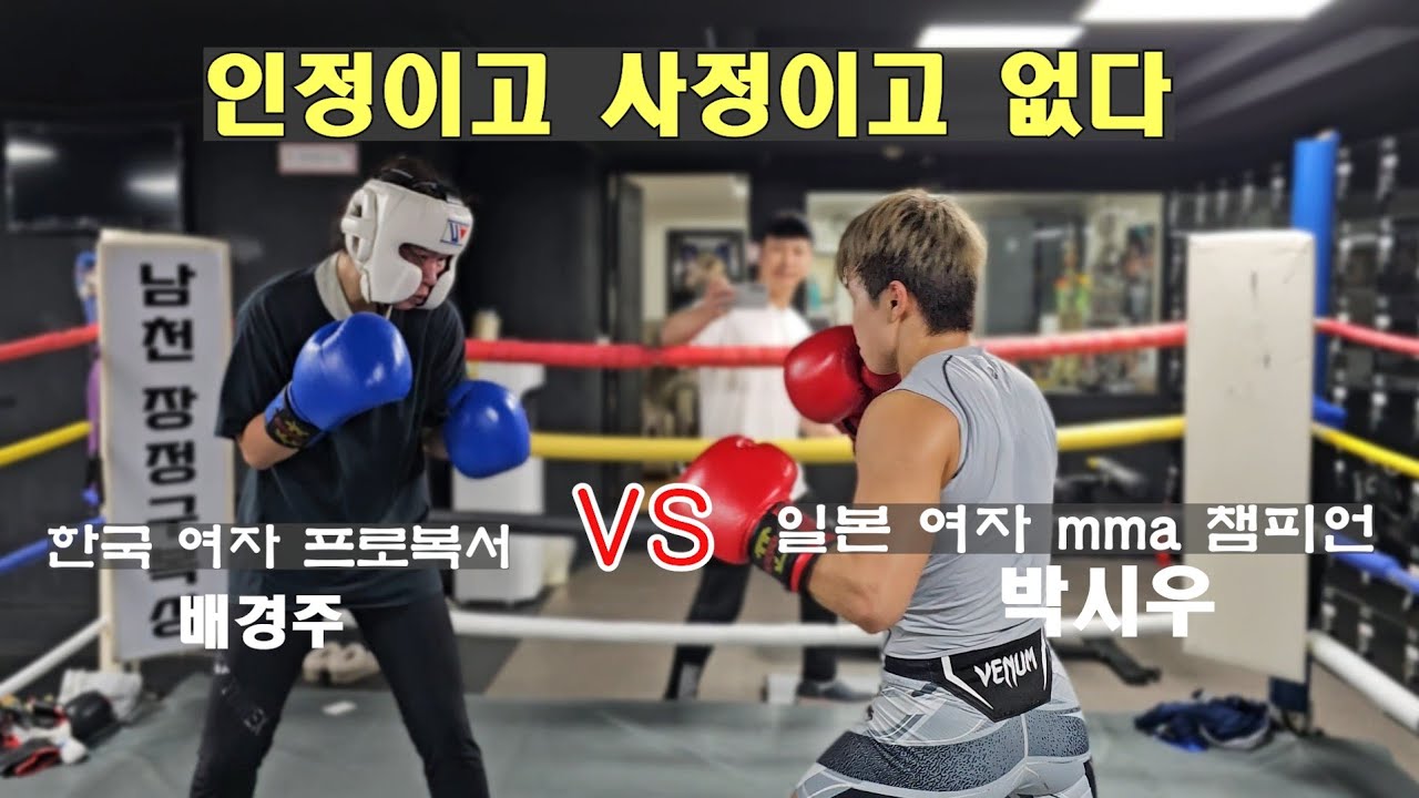 인정 사정 없다 여자 프로복서 Vs 일본 여자 Mma 챔피언의 스파링 박시우 Vs 배경주 Boxing 권투 복싱 챔피언