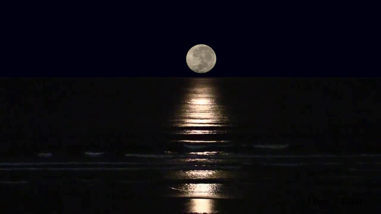 Moon in the sea(海月) - YouTube