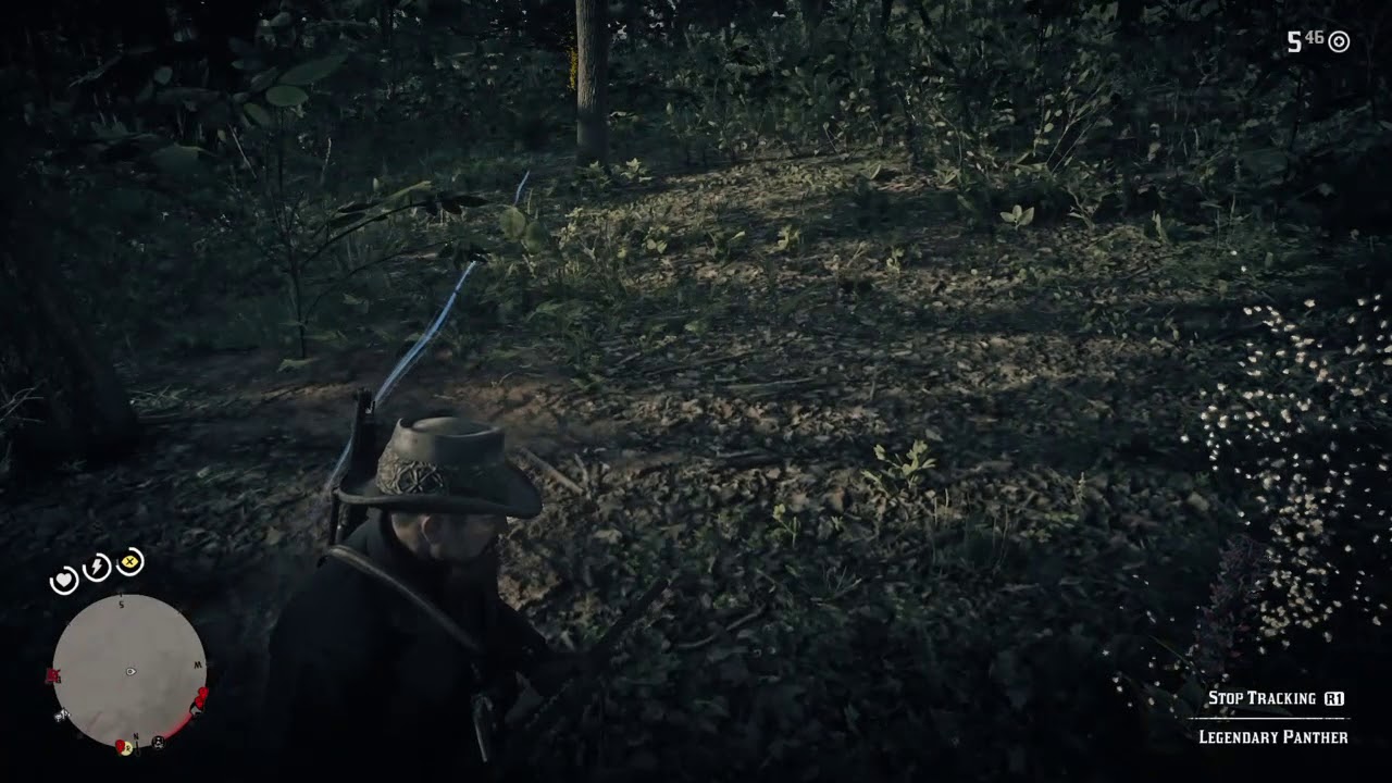 Red Dead Redemption 2 Master Hunter Challenge 10 - YouTube