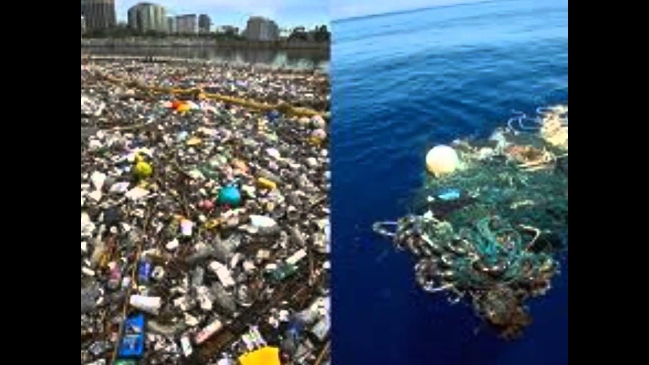 ocean littering - YouTube