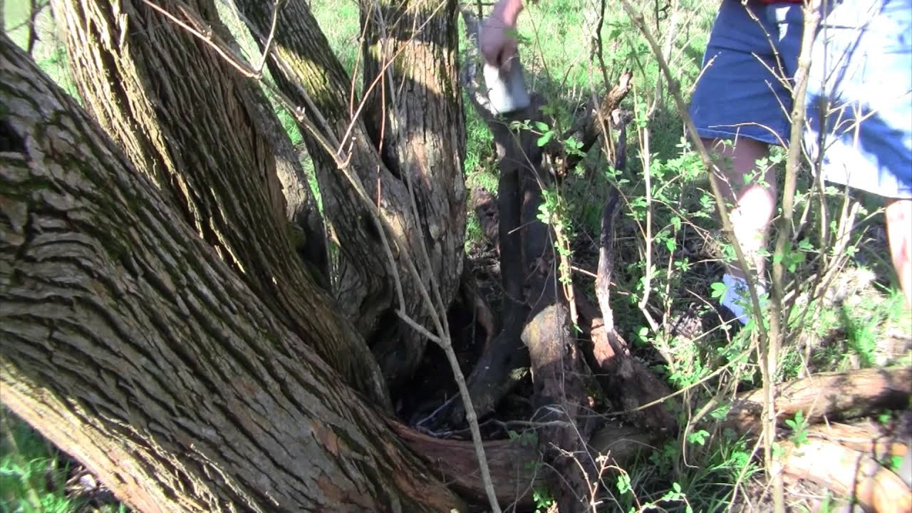 Geocaching for charity! KC Cache Dash 2012 - YouTube