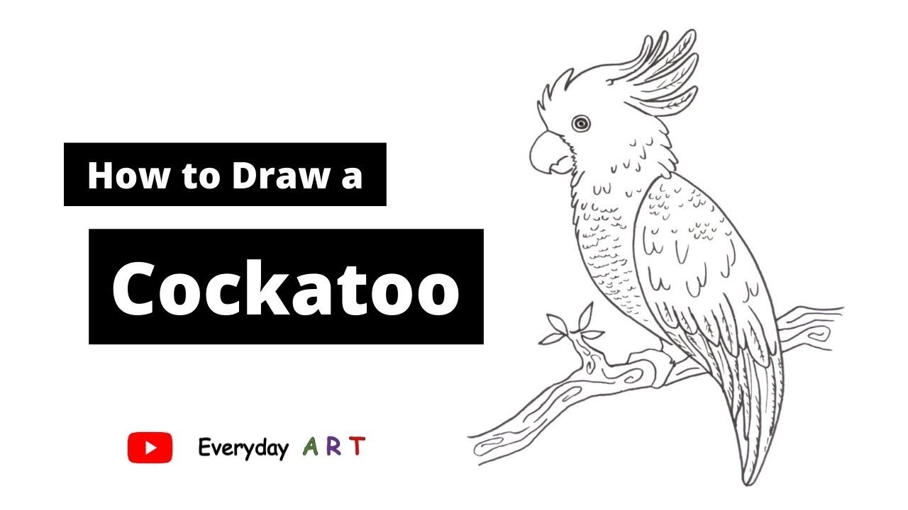 Art 054 - How to Draw a Cockatoo - Easy Tutorial and Simple Drawing ...
