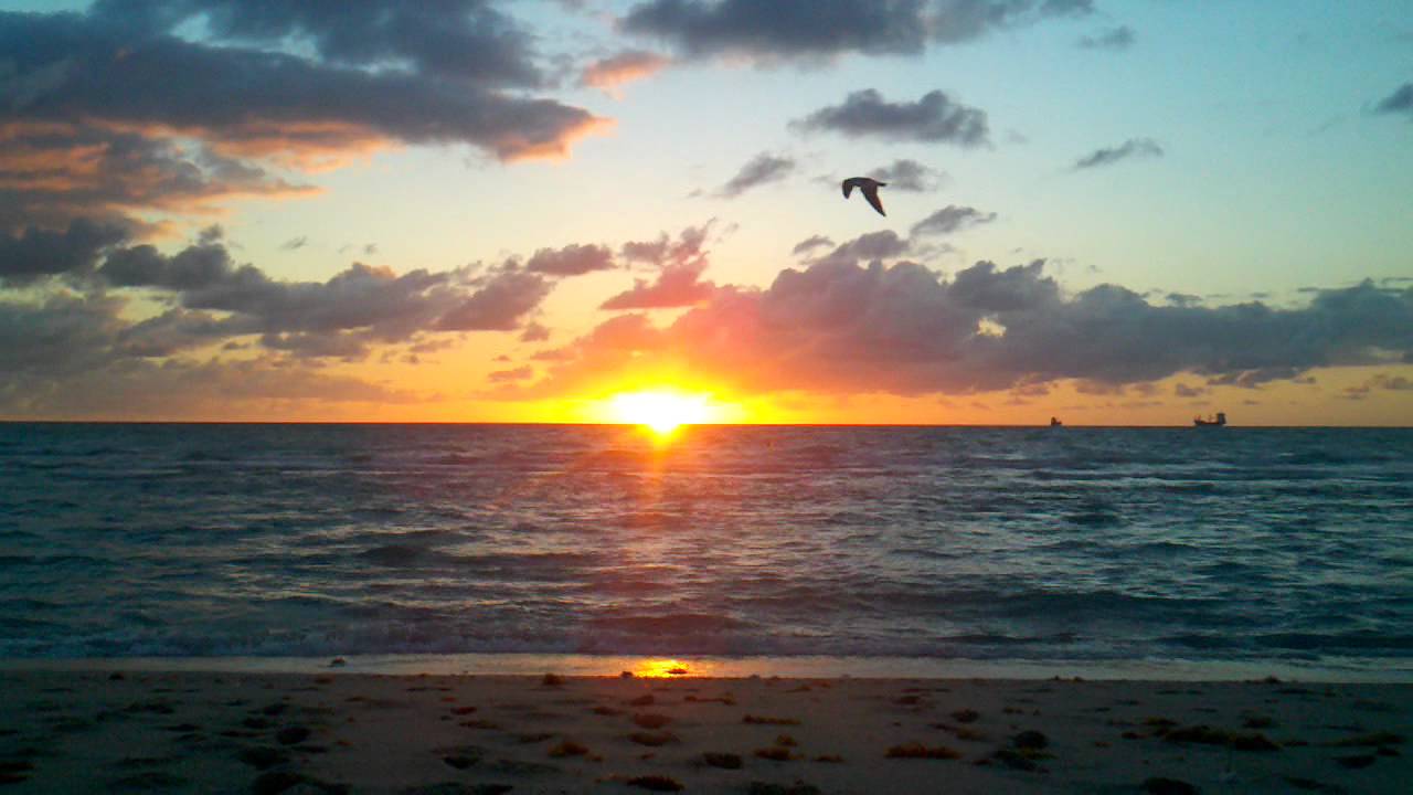 Sun rising in Miami - YouTube