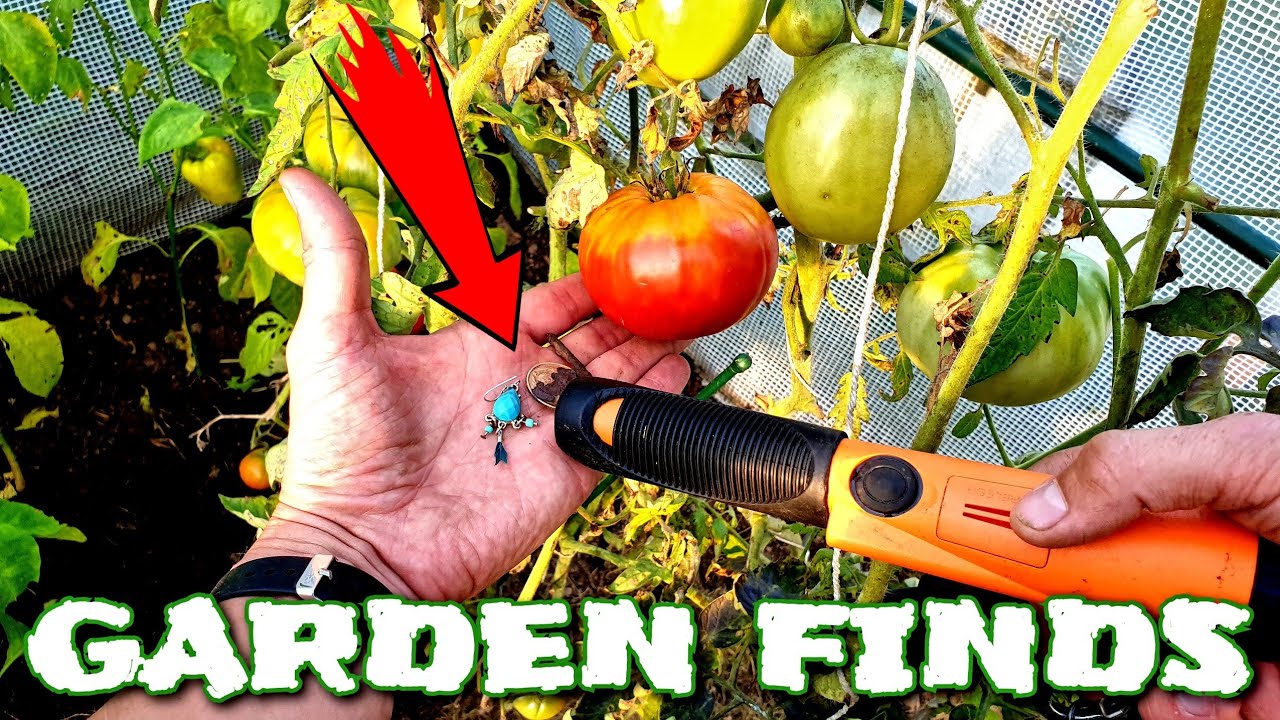 Cool GARDEN FINDS! Everyone can find such things in their garden, only ...