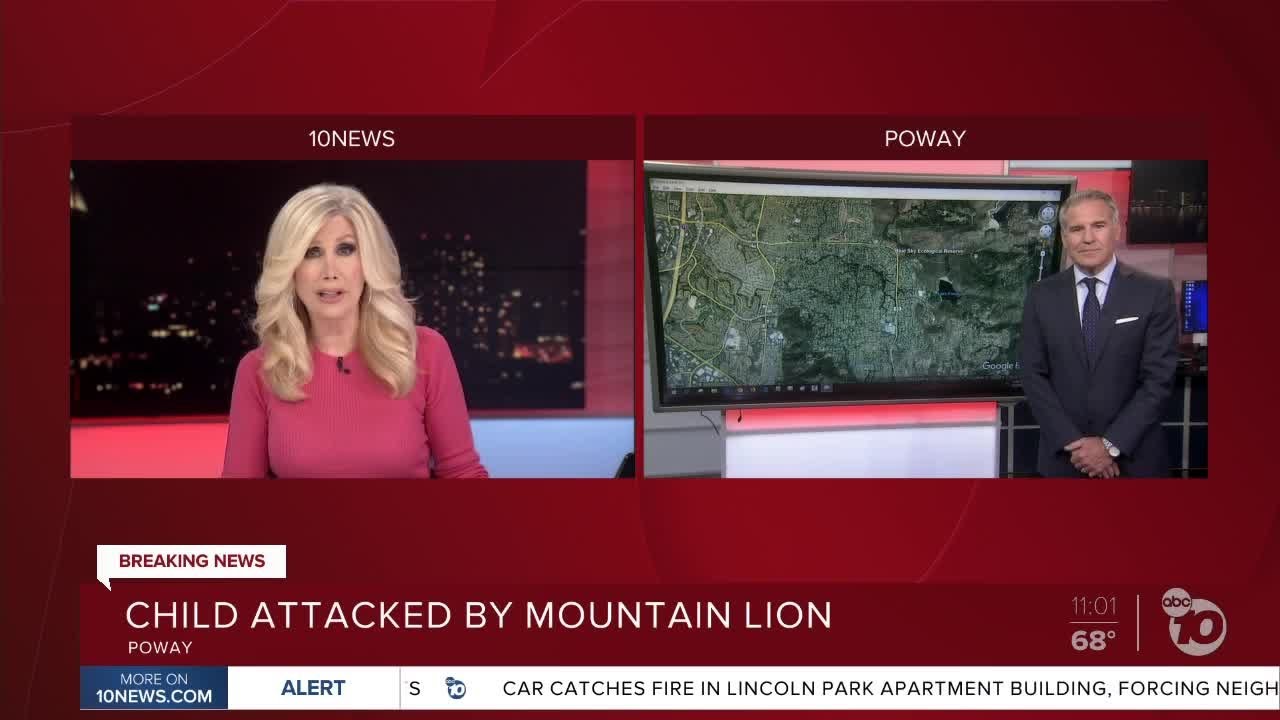 10News at 11pm Top Stories - YouTube