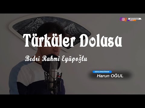 Türküler Dolusu(Şiir) | Bedri Rahmi Eyüpoğlu | Şiir Seslendirme