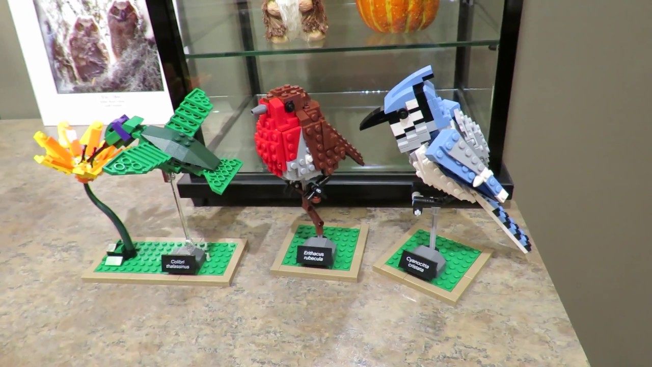Dawn Creates Violet Eared Hummingbird, Robin & Blue Jay Out of Legos ...
