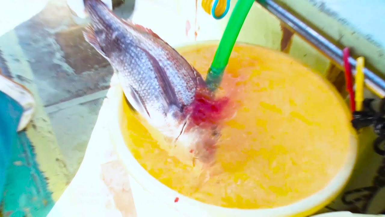 Dispatching fish/魚を締める/Tuer le poisson/Relaischateauxjapan ...