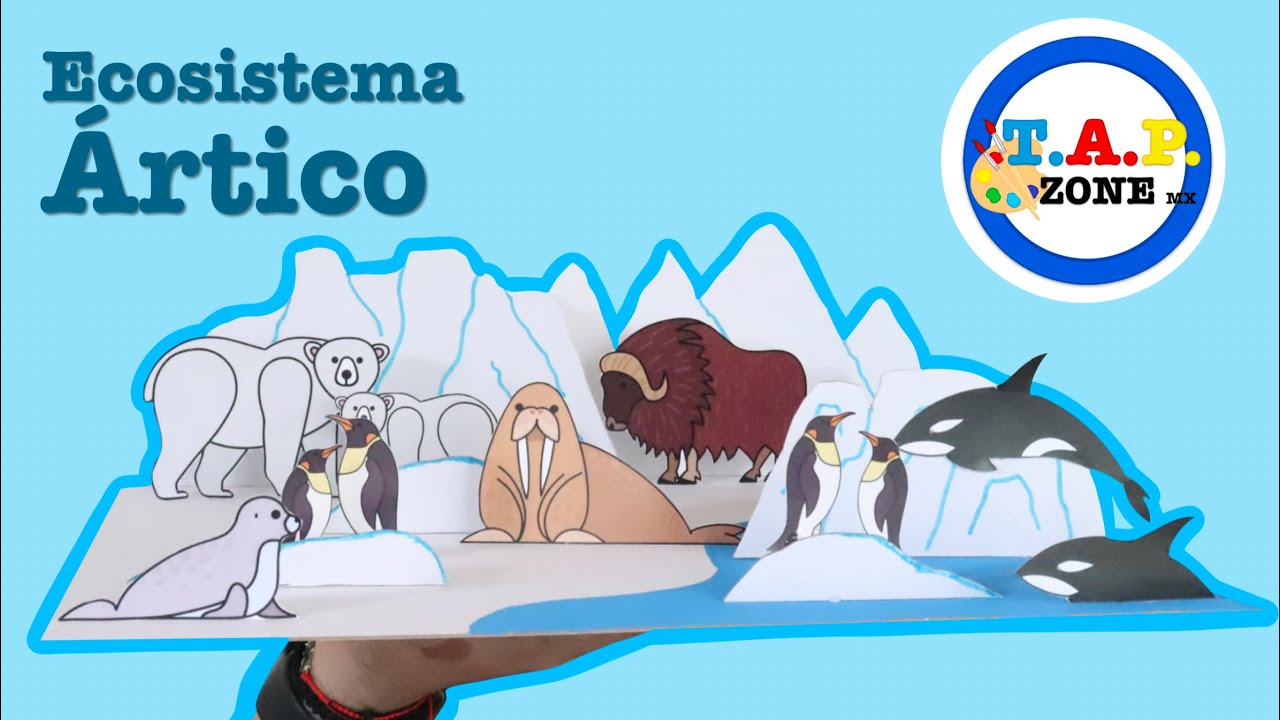 Como hacer la Maqueta del ecosistema Artico / Polar - TAP ZONE Mx (EP ...