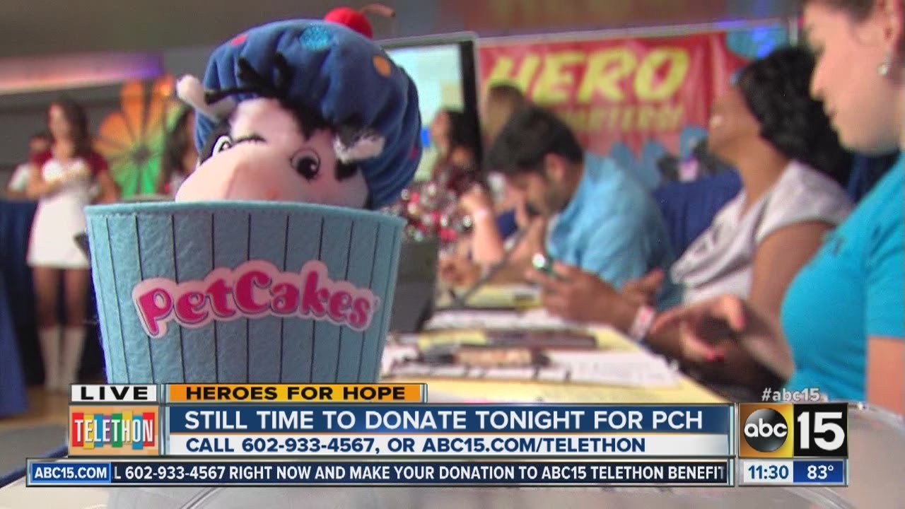 Raised for ABC15 Phoenix Children's Hospital telethon - YouTube