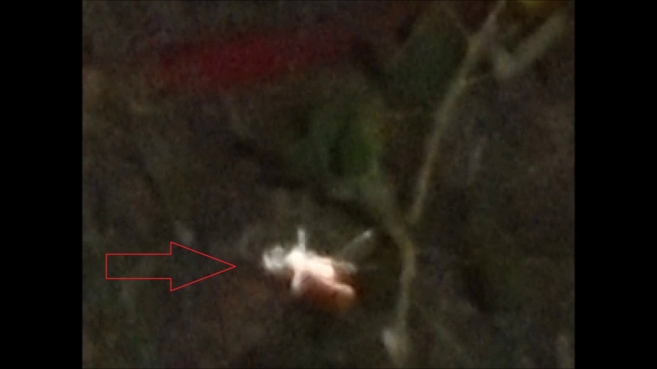 Authentic Photograph of Real Fairies! - YouTube