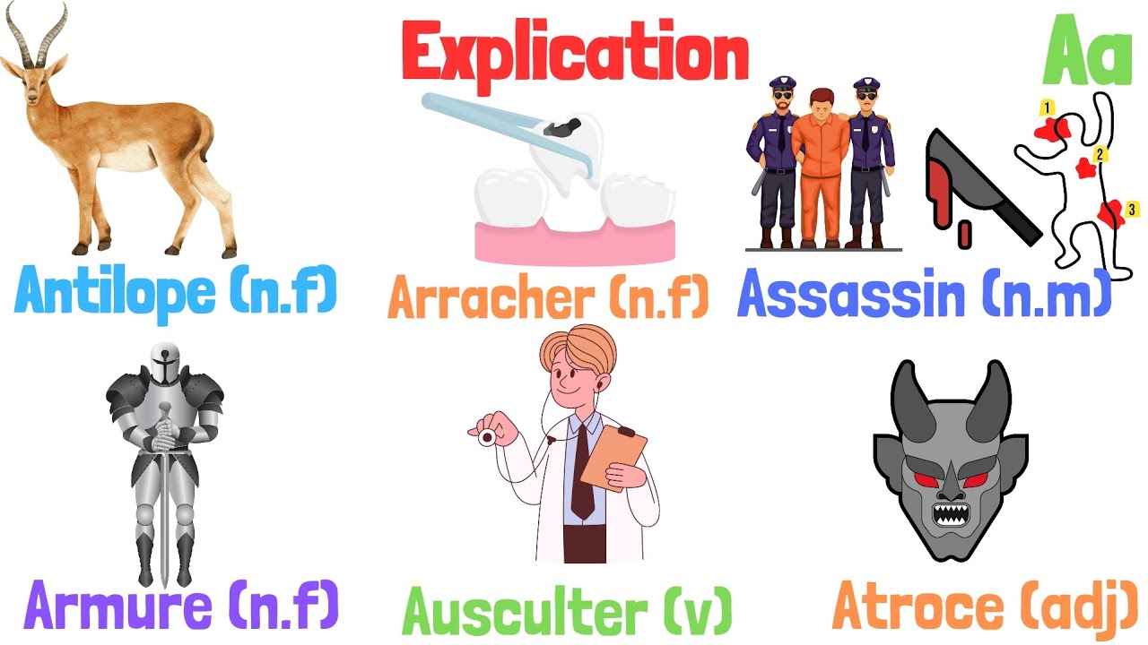 L' explication des mots en français avec des phrases . - YouTube