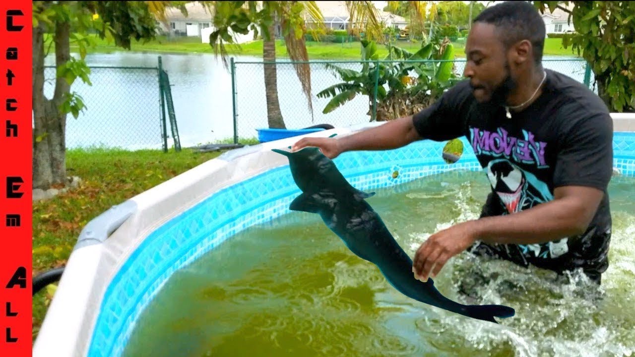 NOODLING for CATFISH in POOL! - YouTube