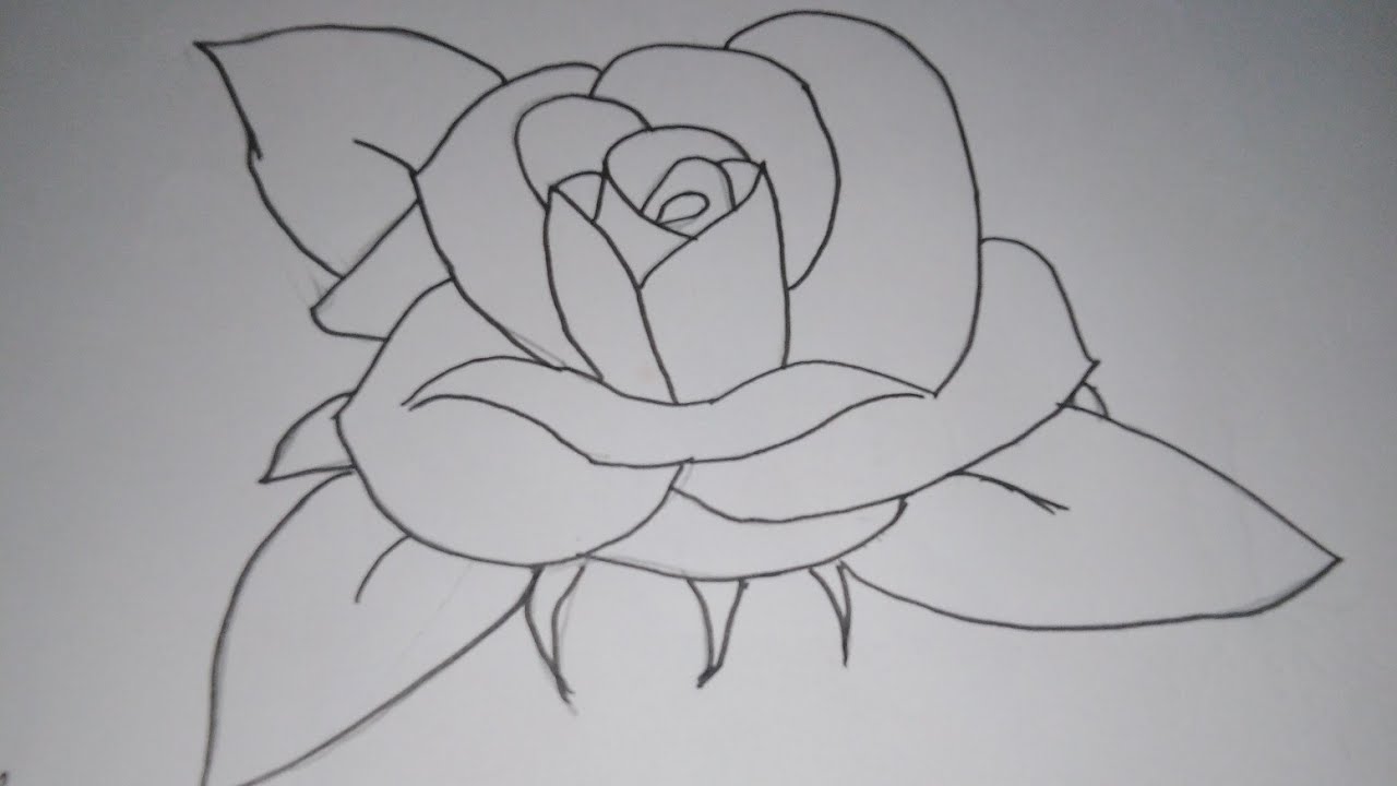 How to draw a rose totourial for beginners - YouTube