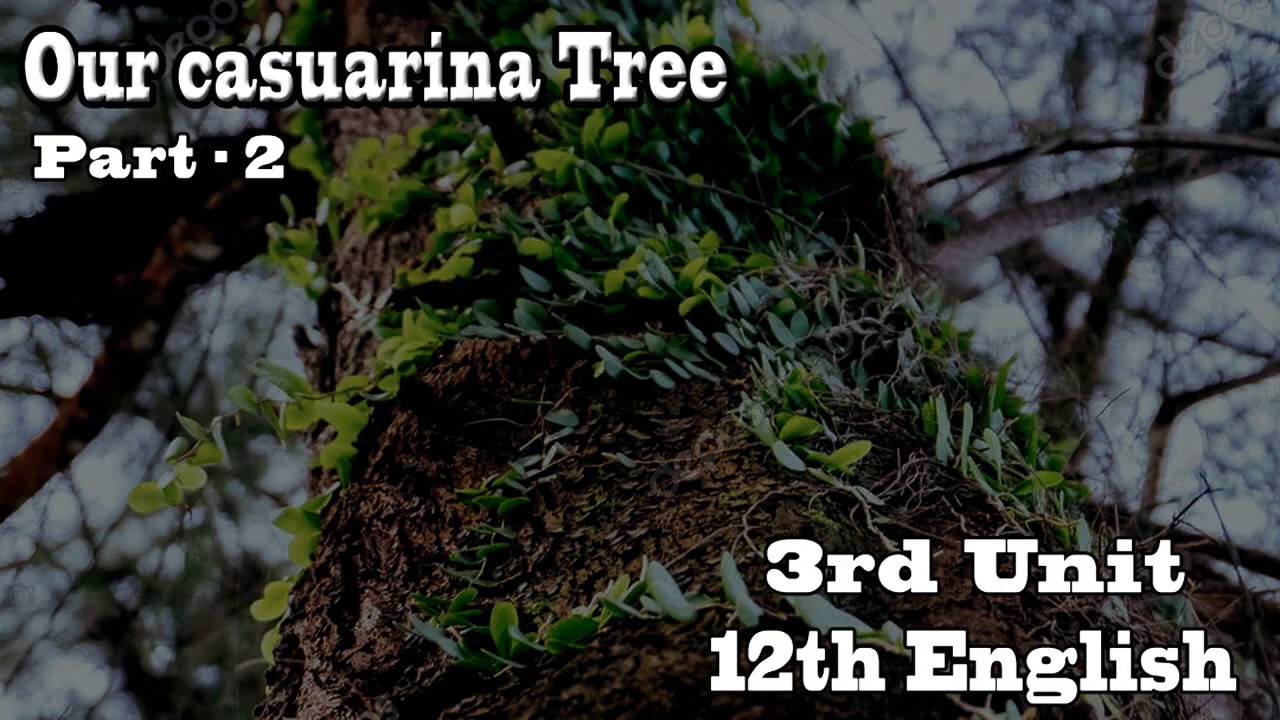 12 English || Our casuarina tree || - Poem - YouTube