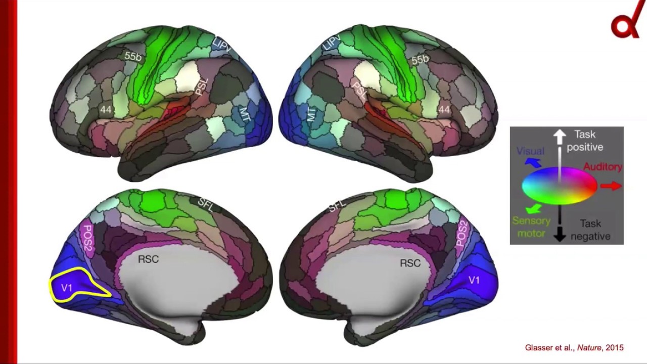 Gradients of Brain Organisation - Session 1: Koen Haak, Donders ...