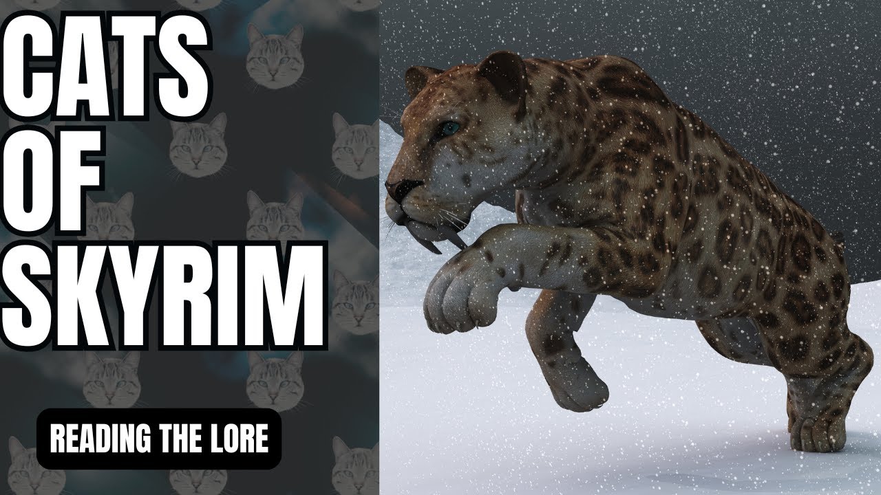 Reading The Lore - Cats of Skyrim - YouTube