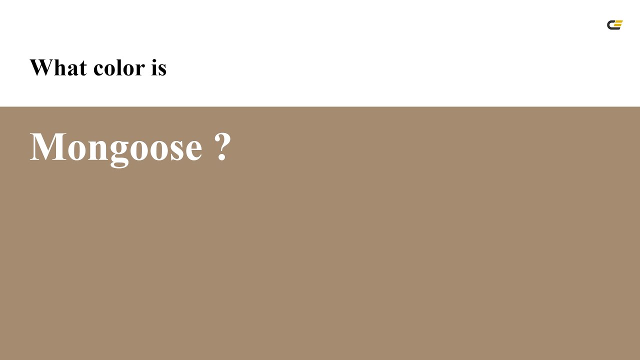 Mongoose color #a58b6f hex color - Brown color - Cool color a58b6f ...