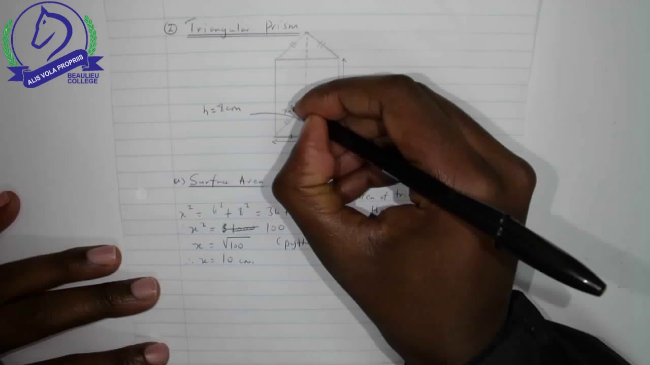 GR11 Maths Lit Area and Volume - YouTube