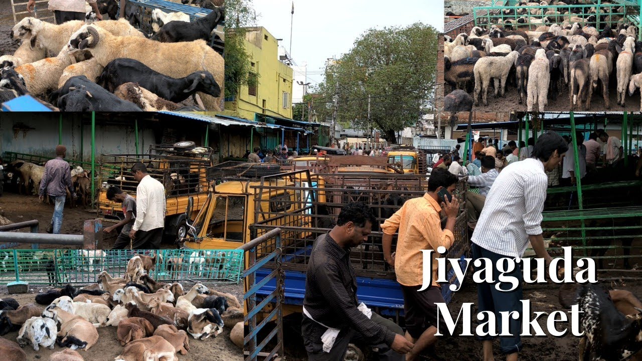 Jiyaguda Market Update Full Details & Price's - YouTube