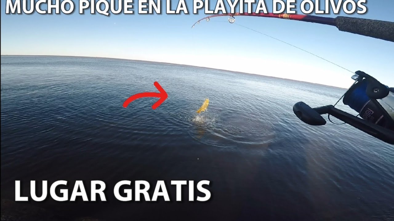 INCREÍBLE ESTE LUGAR COMO NOS DA PESCA A LO LOCO, SIGUEN LOS DORADOS ...