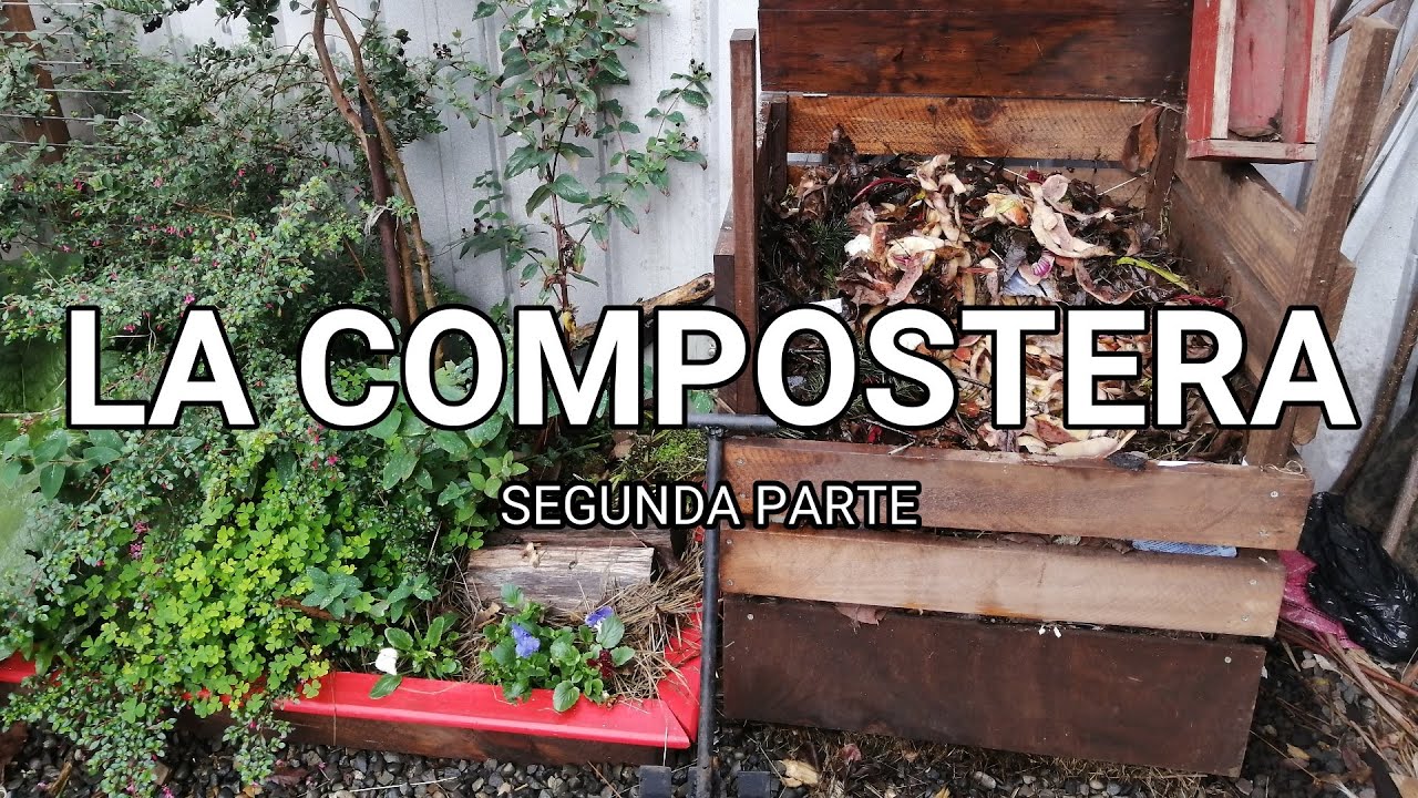 TERMINANDO LA COMPOSTERA 🥬🥕🕷️🐞🐜🍂🌱 - YouTube