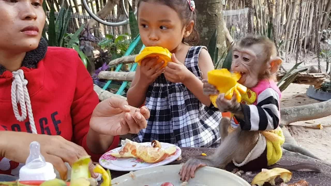 Baby Monkey Koko Join Very Yummy Eats Fruits With Sister Sreye - YouTube