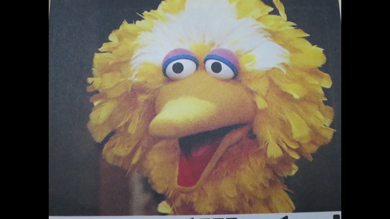 The Sesame Street Circus Of Opposites/ Oscar The Grouch/kids story/Bed ...