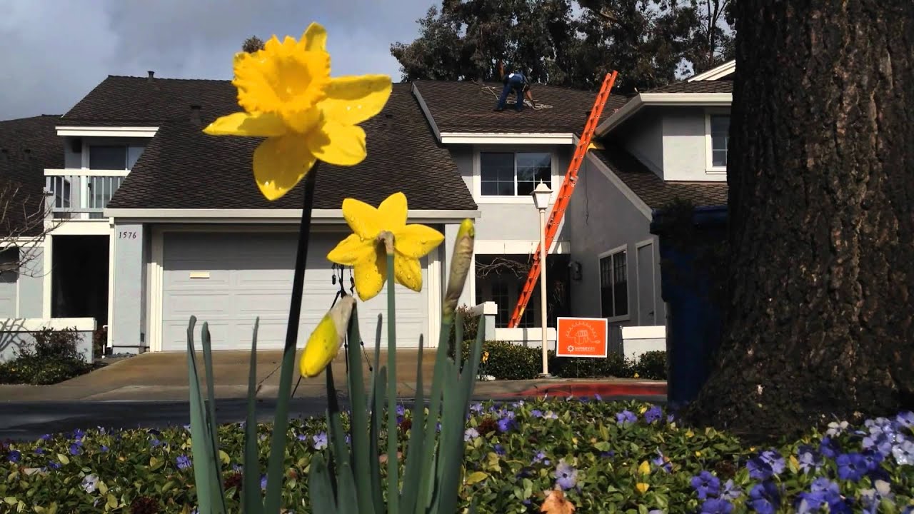 Solar Made Easy - Sungevity's Expert Solar Consultants - YouTube