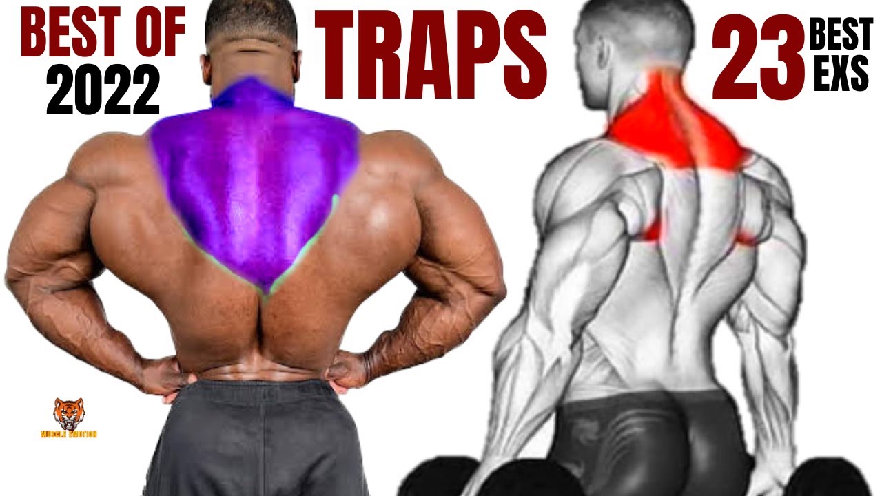 23 BEST TRAPS WORKOUT AT GYM - YouTube