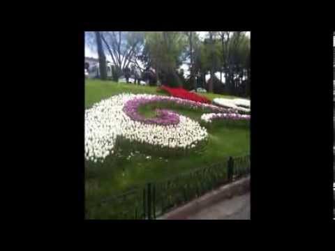 İYİ Kİ DOĞDUN CAN YOLDAŞIM ...