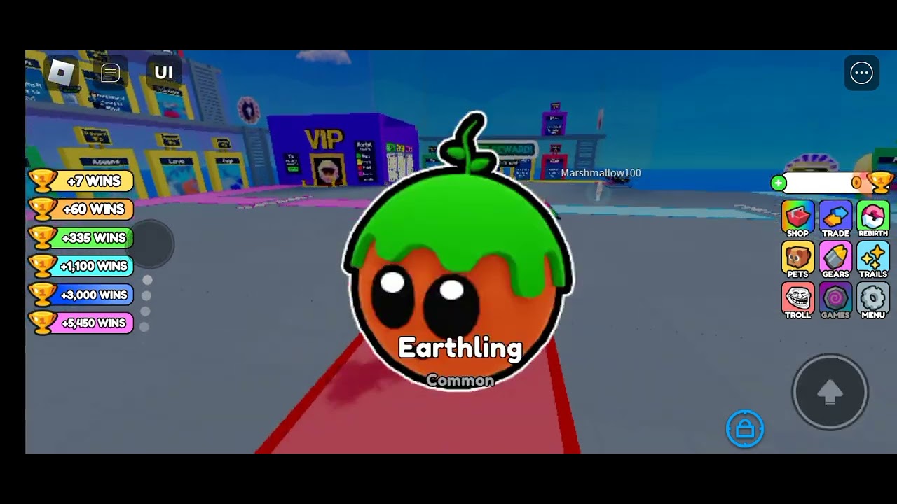 Playing a 2 player obby with my brother - YouTube