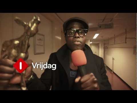 Het Gala van de Nederlandse Film