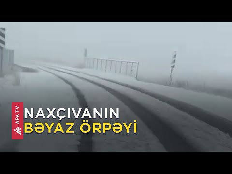 Şahbuzun Batabat yaylağına güclü qar yağıb – APA TV
