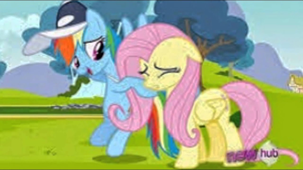 Rainbow Dash And Fluttershy Sad