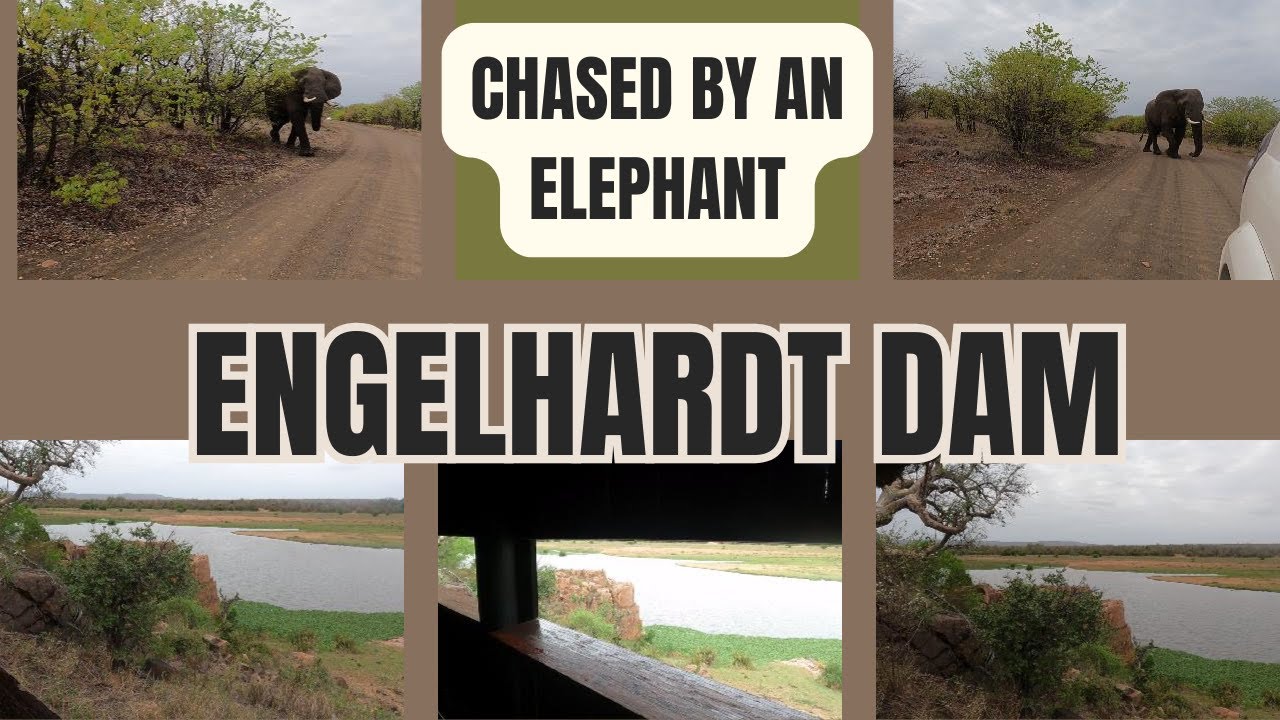 Engelhard Dam - the perfect place for exceptional game encounters - YouTube