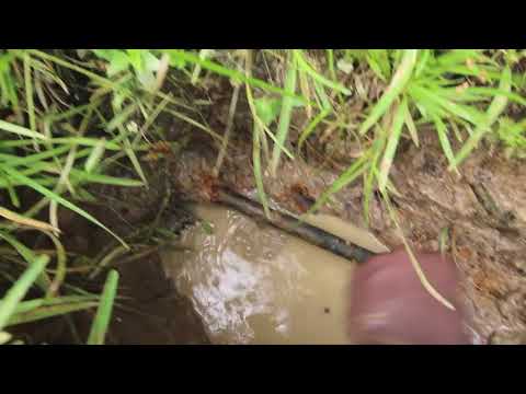 Main water line broken, HOW TO REPAIR IT!!!!! - YouTube