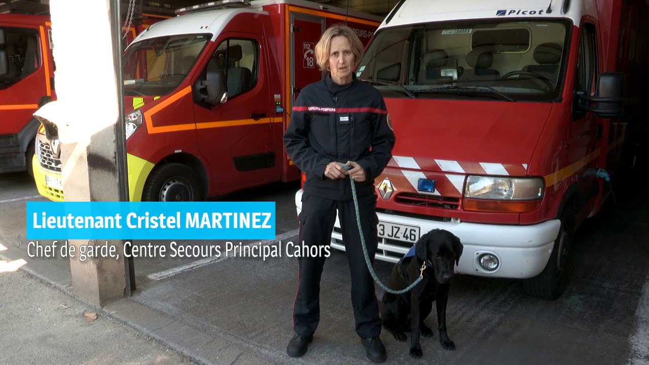 Lol, 1er chien d'assistance judiciaire en France - YouTube