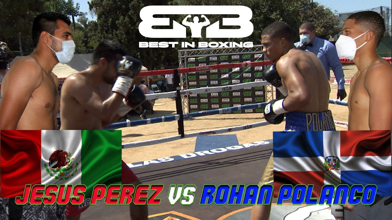 Best in Boxing Jesus Lopez Perez vs Rohan Polanco Fight - YouTube