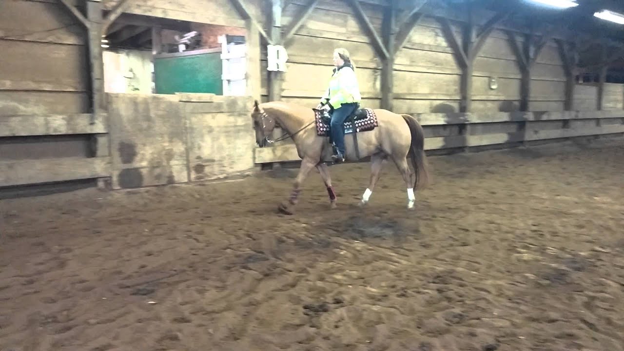 HD Performance Horses - YouTube