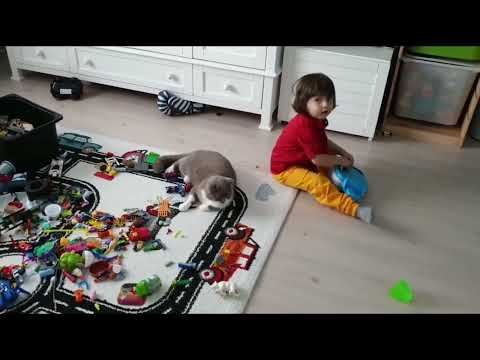 Fatih selim  misafir olarak gittiğimiz evin kedisi ile arkadaş oldu