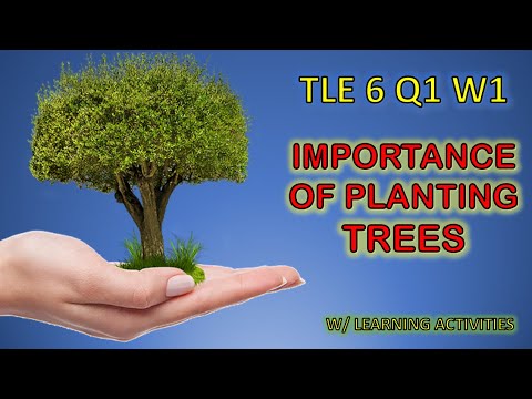IMPORTANCE OF PLANTING TREES AND FRUIT BEARING TREES / TLE 6 ...