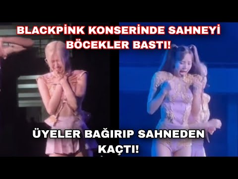 Blackpink konserinde sahneyi böcekler bastı, üyeler bağırıp sahneden kaçtı!
