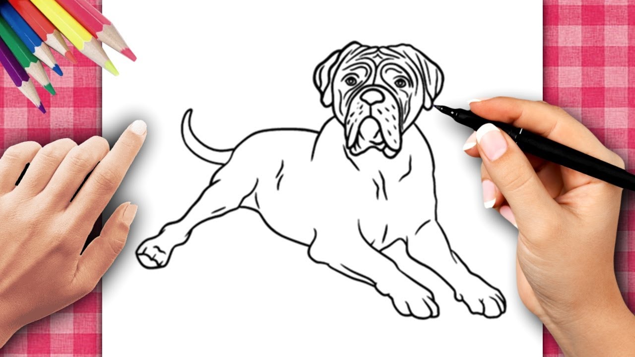 comment-dessiner-un-gros-chien-couche-youtube