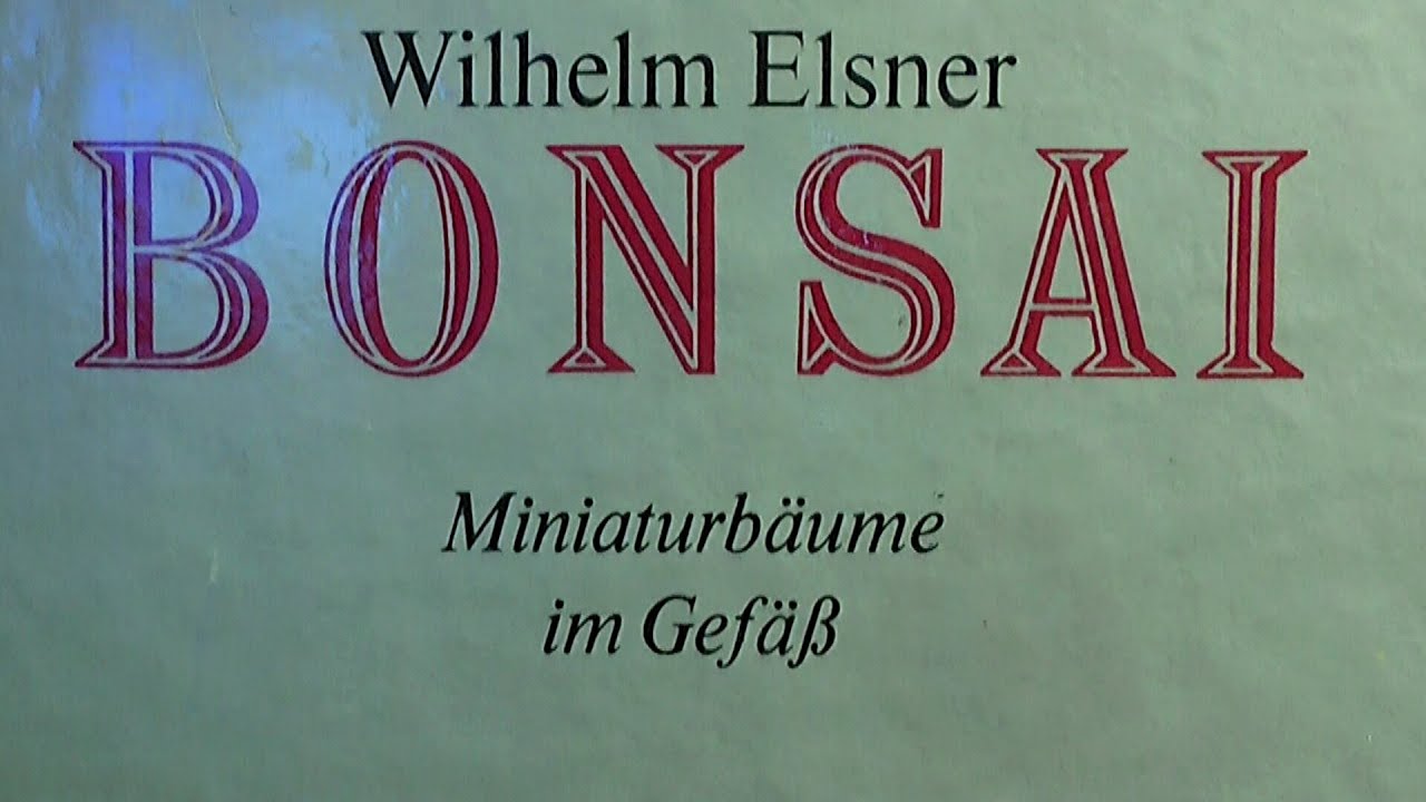 Bonsai was ist das? Teil 1 Buchvorlesung. Wilhelm Elsner, Vorwort - YouTube