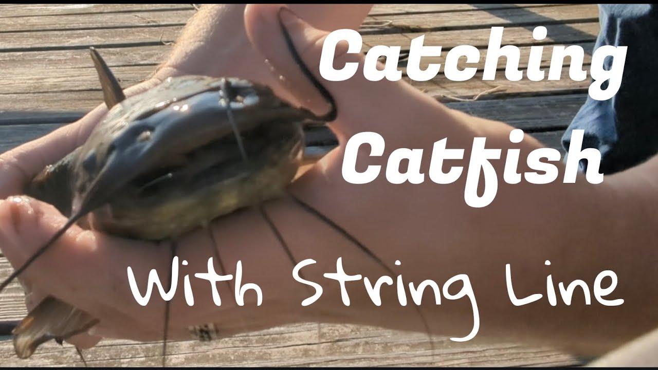 Catching Catfish Off the Dock with a String Line, 3 hooks - YouTube