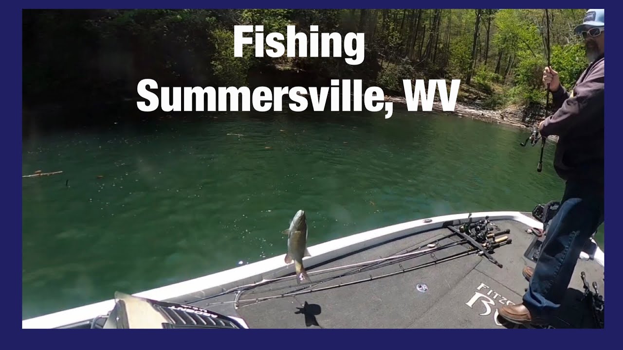 Bass fishing Summersville, WV - YouTube