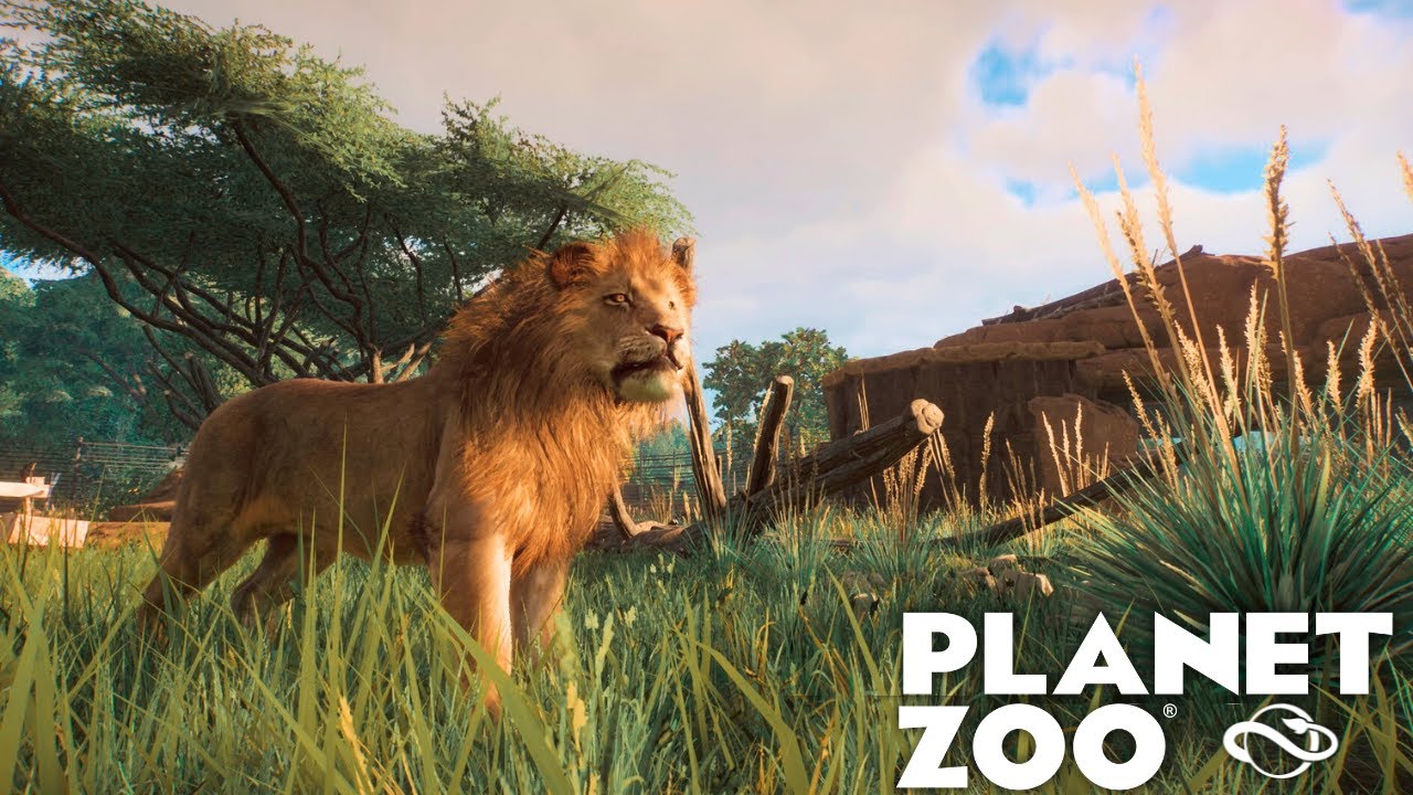 Unbelievable New Lion Mod! | Planet Zoo - YouTube