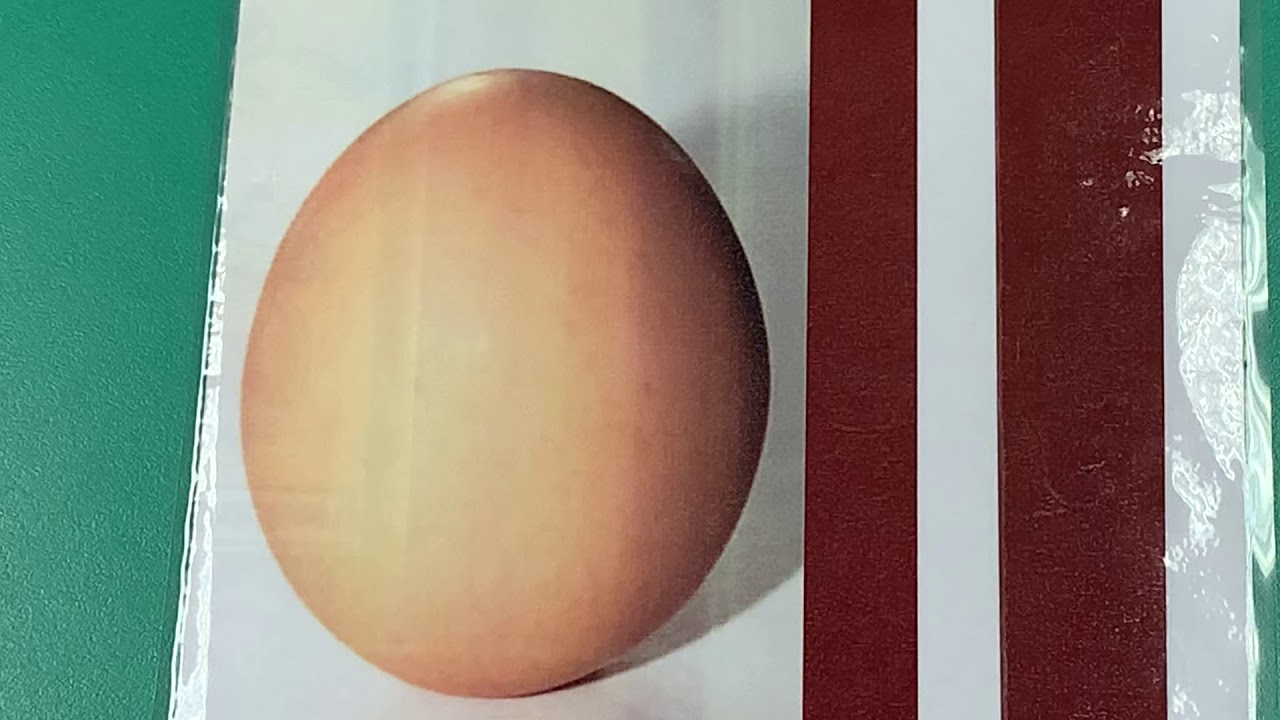 Chicken life cycle song - YouTube